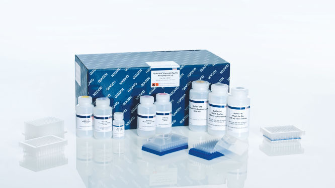 QIAGEN Announces Reverse Stock Split and Share Rep... | FMP