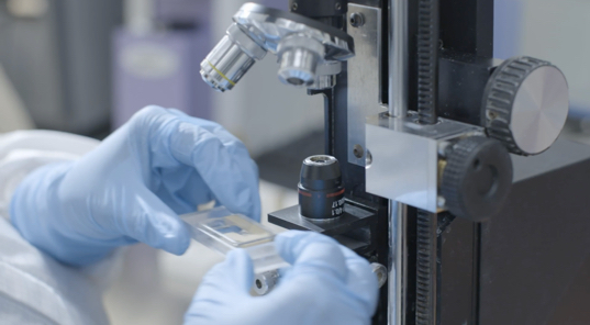 STAAR Surgical Company (NASDAQ:STAA) Earnings Prev... | FMP