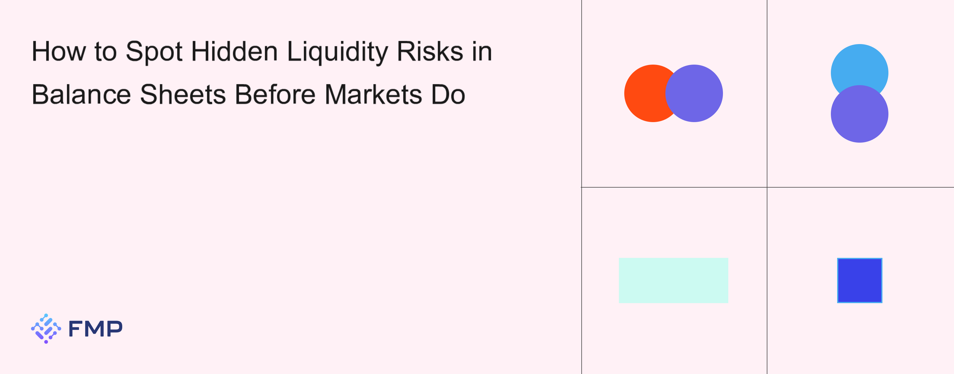 How to Spot Hidden Liquidity Risks in Balance Shee... | FMP